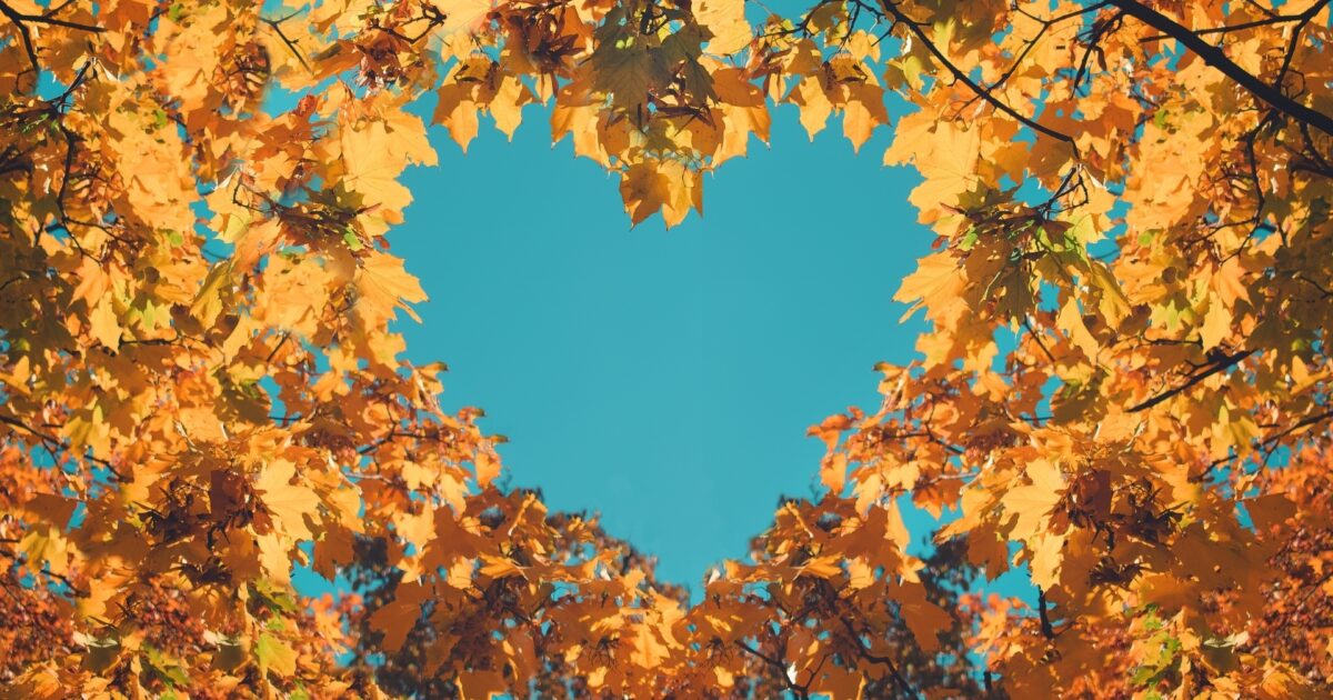 All the Fall Things: Festivals. Foliage. Fun! | City of Virginia Beach