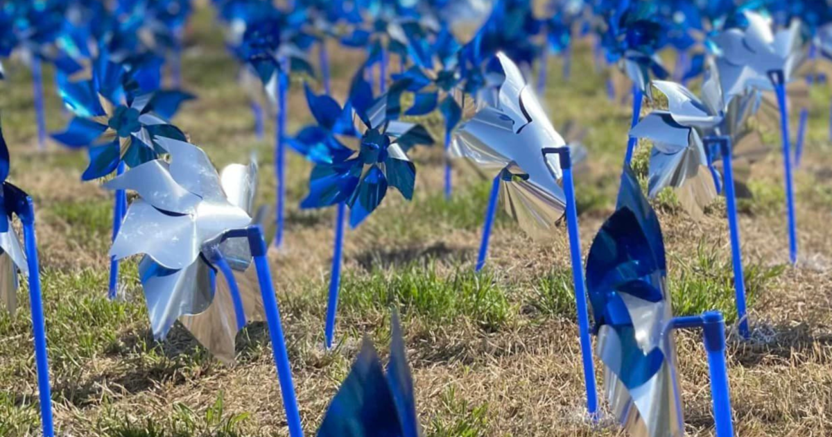 Pinwheels for Prevention: Bringing Awareness… | City of Virginia Beach