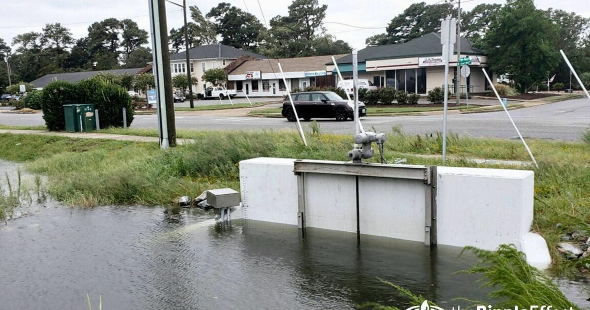 The Ripple Effect: Myth vs. Fact on… | City of Virginia Beach