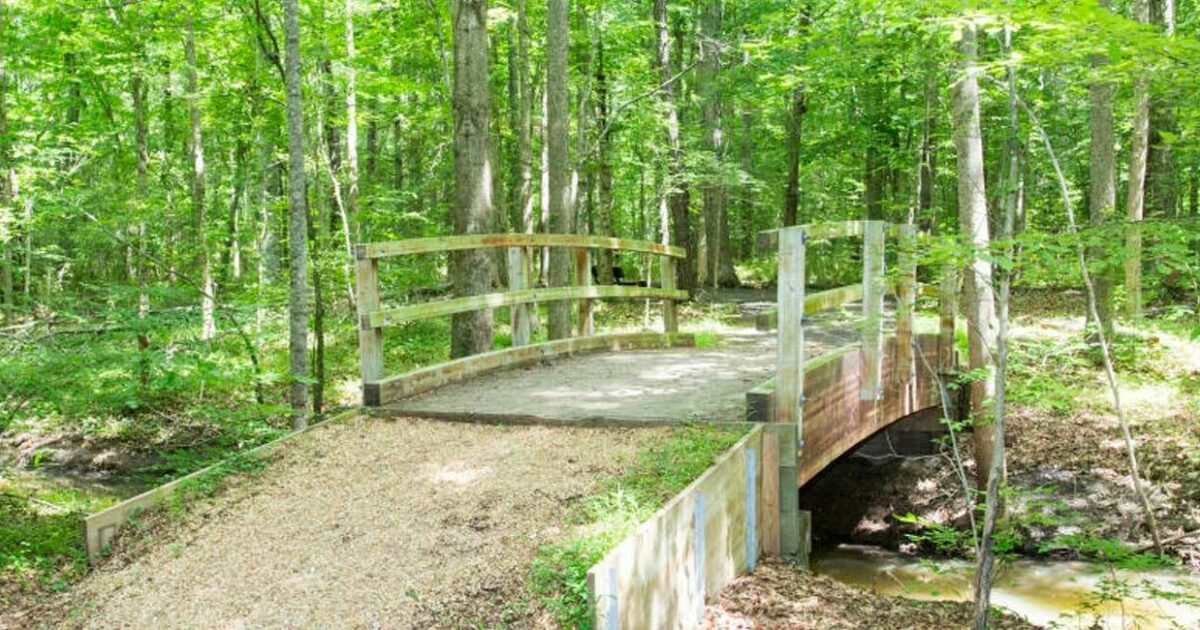 West Neck Creek Natural Area | City of Virginia Beach