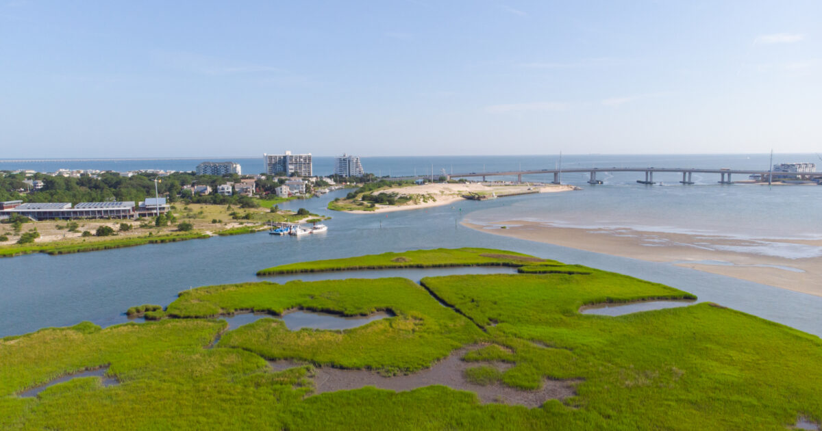 Chesapeake Bay Preservation Area Board | City of Virginia Beach