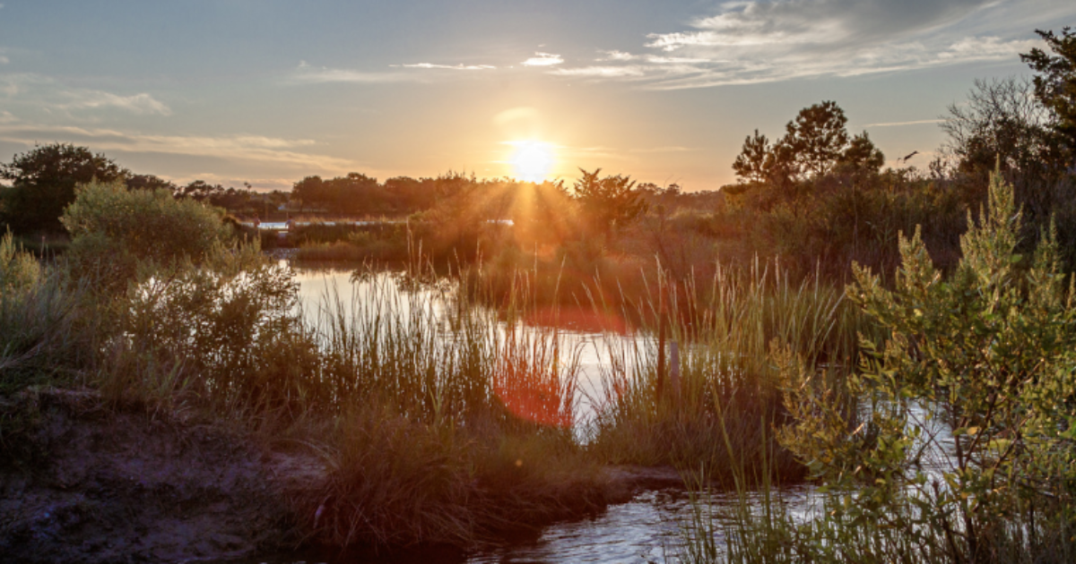 Lynnhaven River Basin Ecosystem Restoration… | City of Virginia Beach