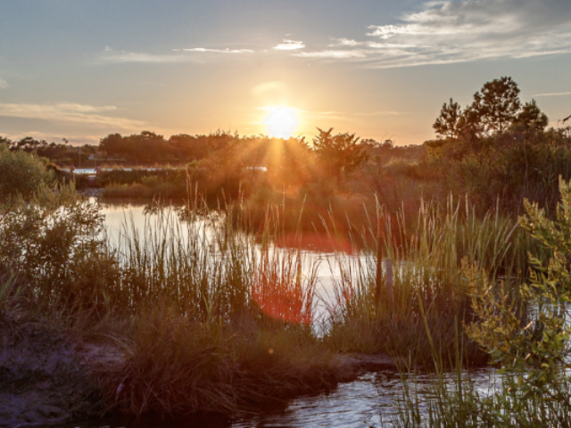 Household Hazardous Waste | City of Virginia Beach